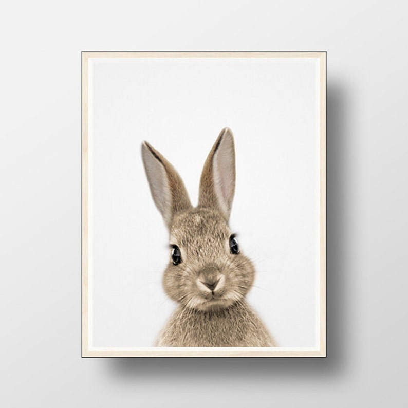 Rabbit Bunny Print Nursery Animals Printable Wall Art | Etsy