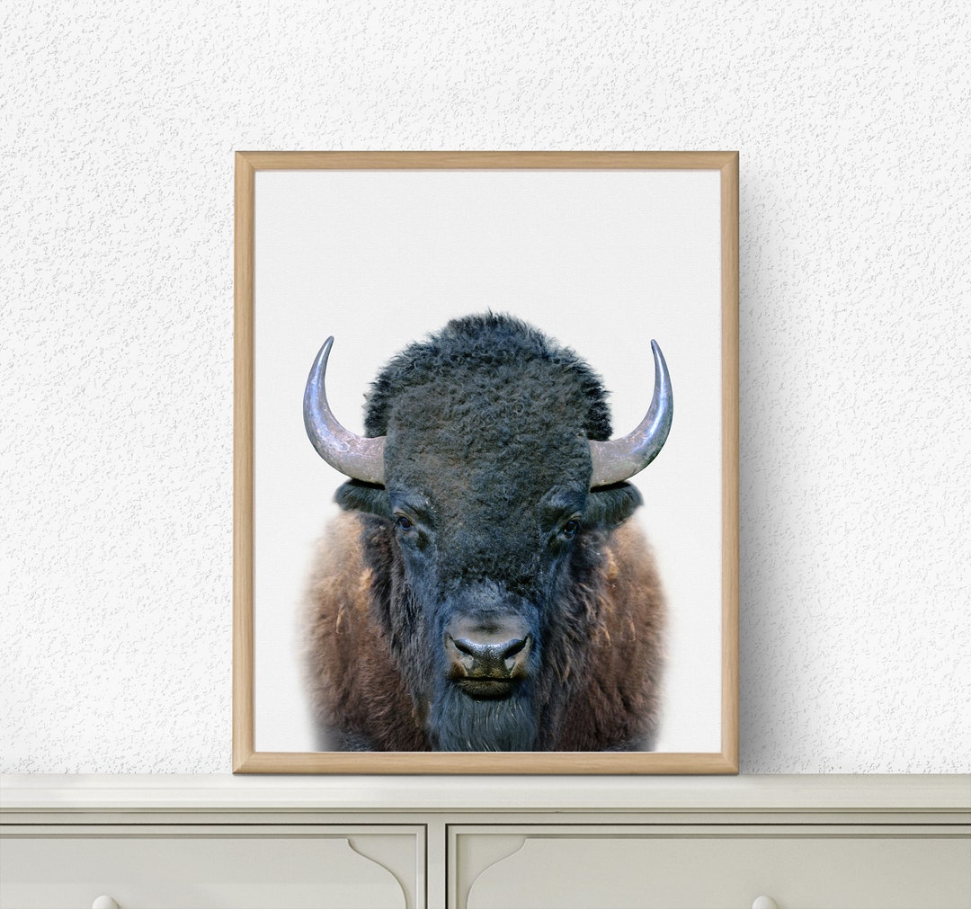 Bison Print Buffalo Print Bison Wall Art Nursery Decor - Etsy