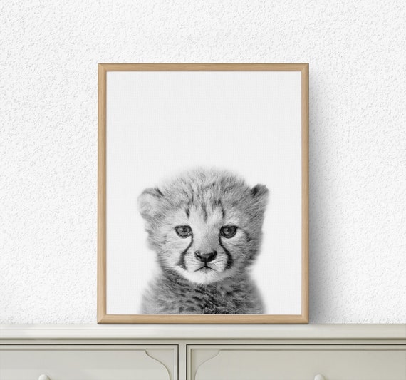 Cheetah Cub Print Cheetah Print Nursery Decor African | Etsy