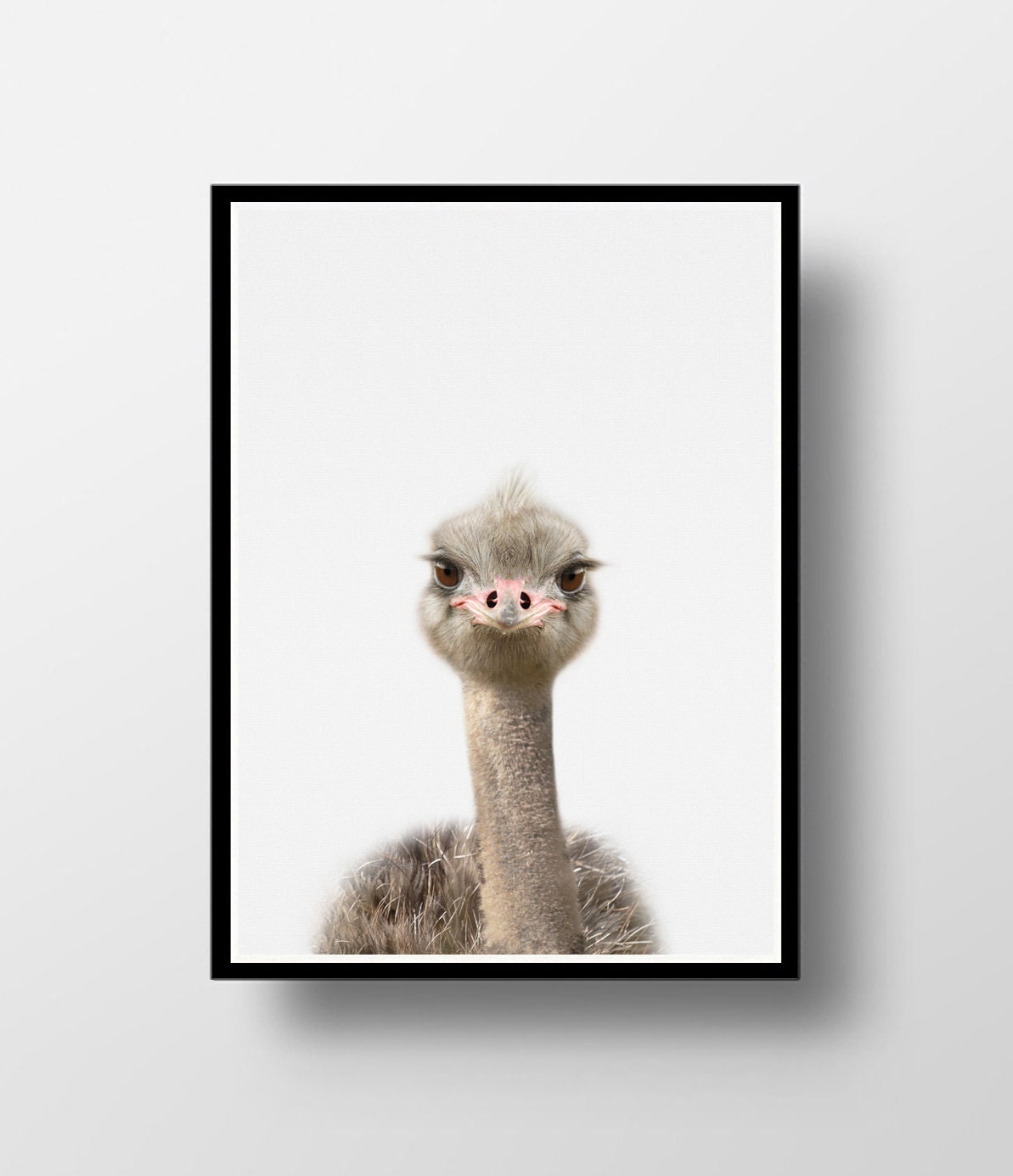 Baby Emu Print Australian Animal Baby Animal Prints Baby | Etsy