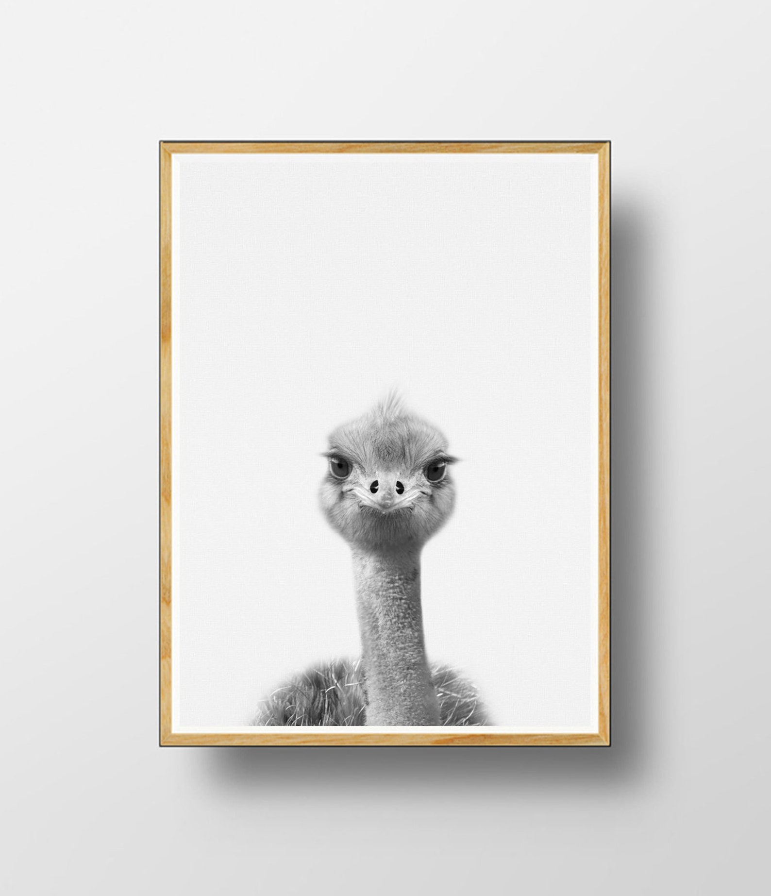 Baby Animal Prints Baby Emu Print Australian Animal Baby - Etsy