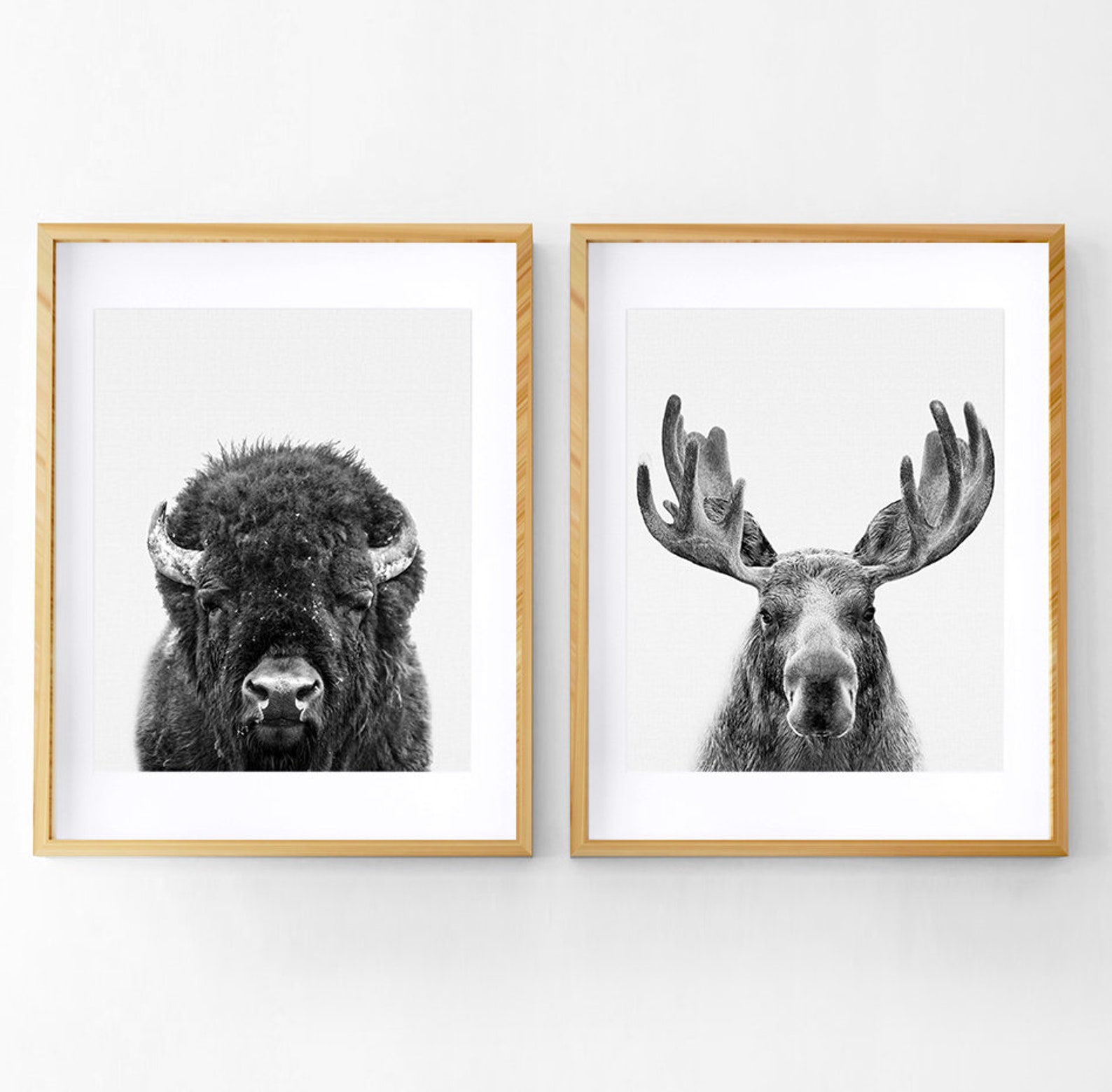 Bison Print Buffalo Print Bison Wall Art Nursery Decor - Etsy