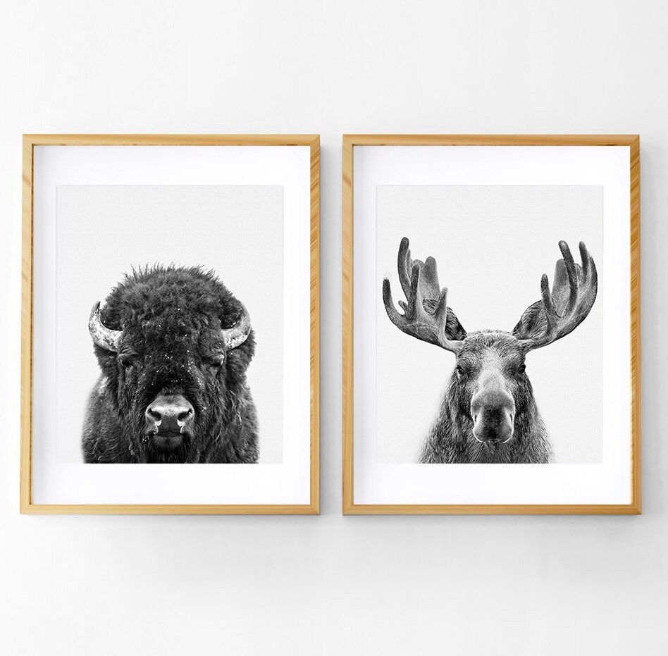 Bison Print Buffalo Print Bison Wall Art Nursery Decor - Etsy