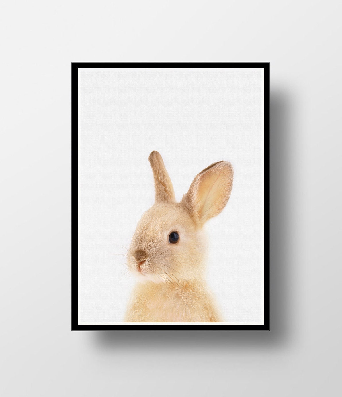 Nursery Decor Rabbit Print Nursery Animals Baby Room Wall - Etsy