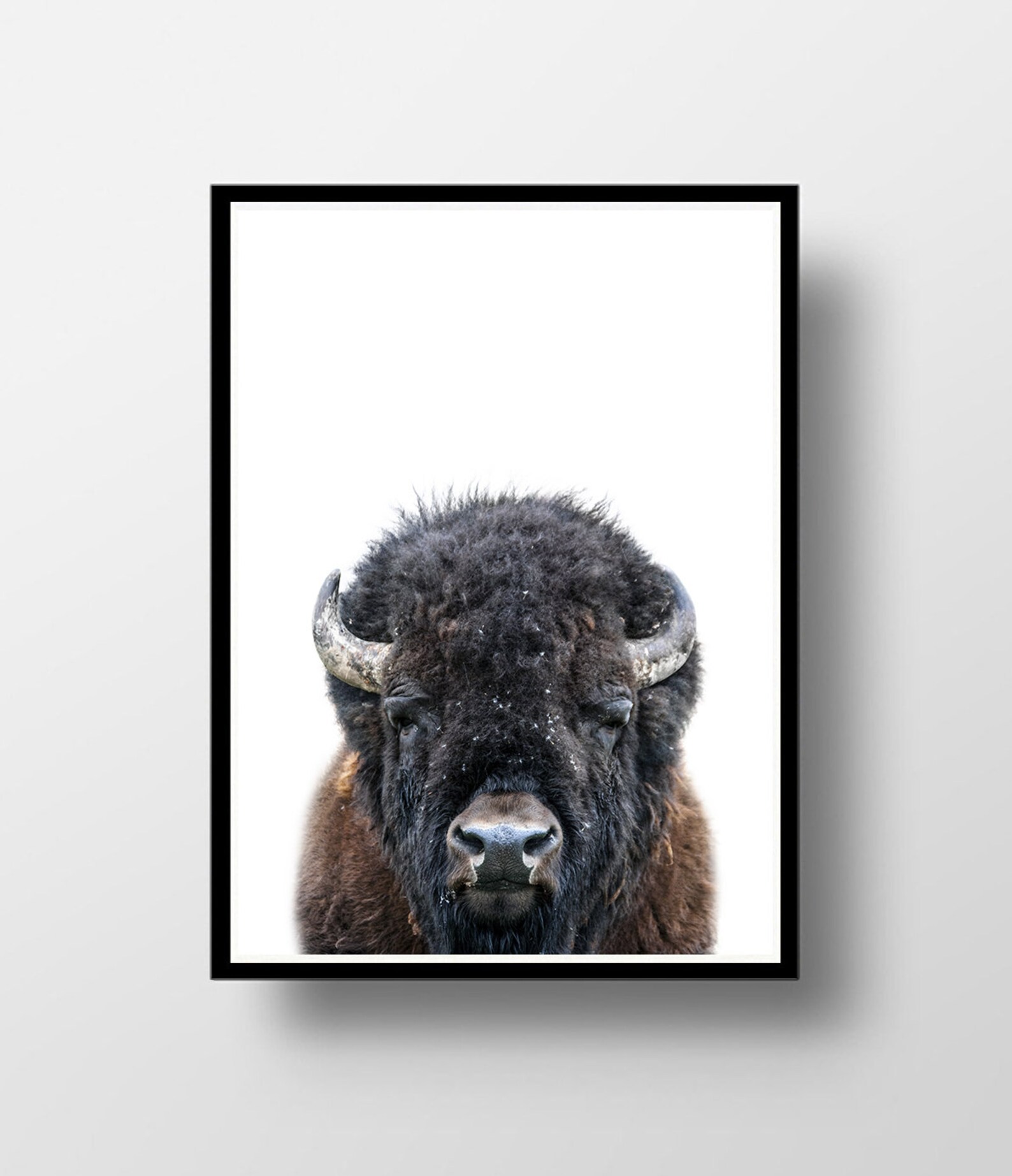 Printable Bison Bison Print Bison Wall Art Buffalo Print - Etsy