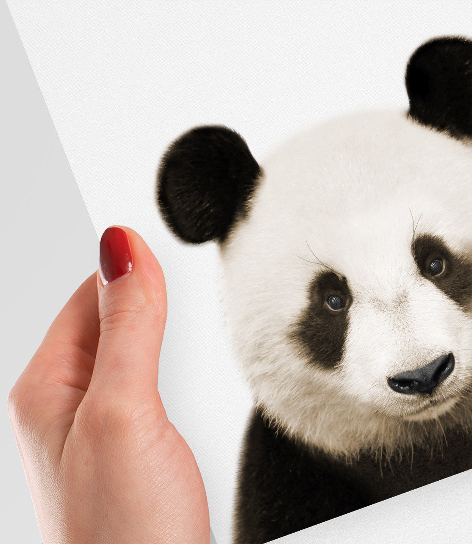 Panda Print Panda Wall Art Nursery Printable Nursery | Etsy