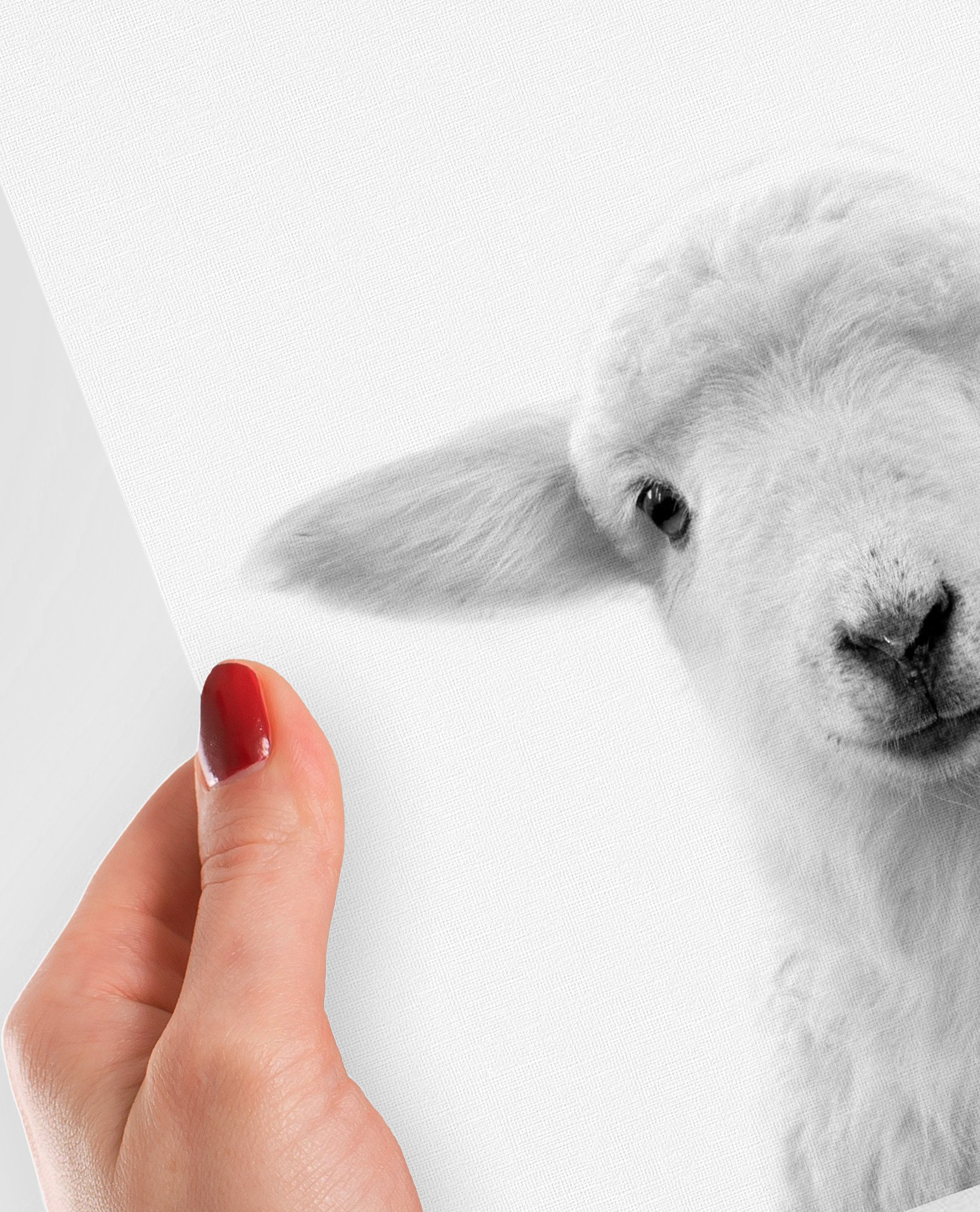 Lamb Print Wall Art Lamb Print Nursery Lamb Nursery | Etsy