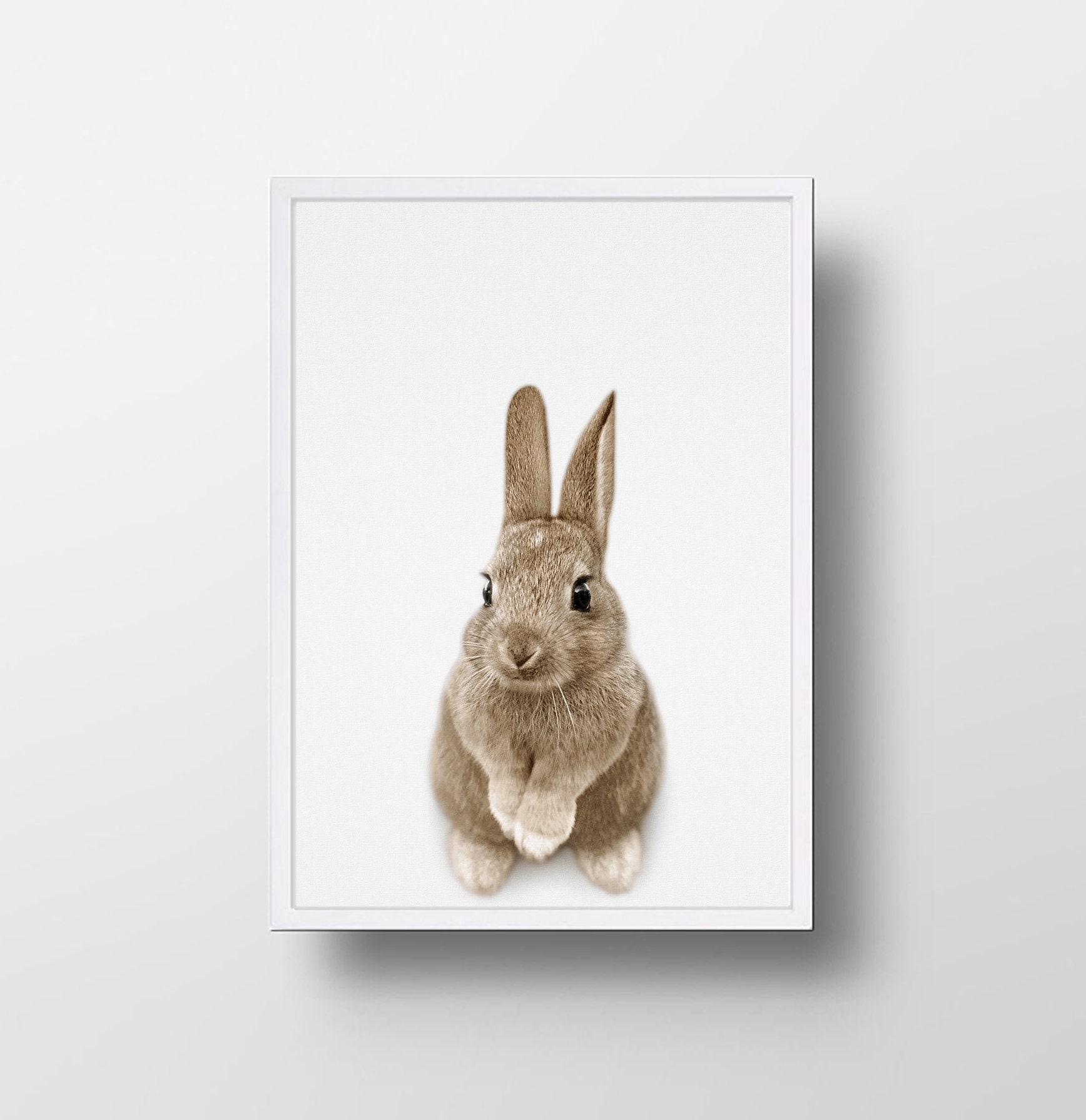 Rabbit Print Nursery Decor Rabbit Tail Baby Room Art Decor - Etsy