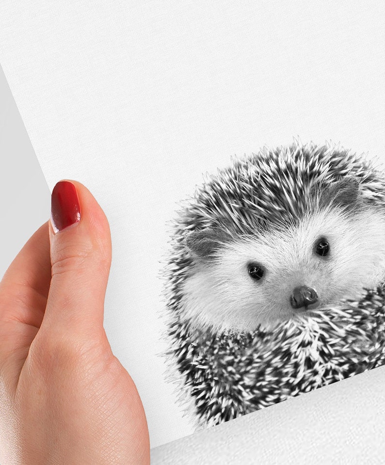 Hedgehog Print Nursery Animals Nursery Animal Print Nursery - Etsy