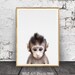 Baby Monkey Print Baby Monkey Wall Art Baby Animal Prints | Etsy