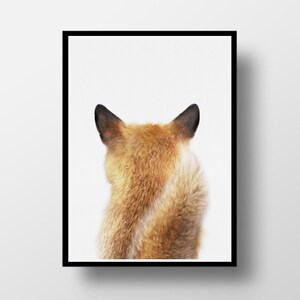 Fox Cub Tail Print, Woodland Animals, Woodlands Decor, Baby Animal ...
