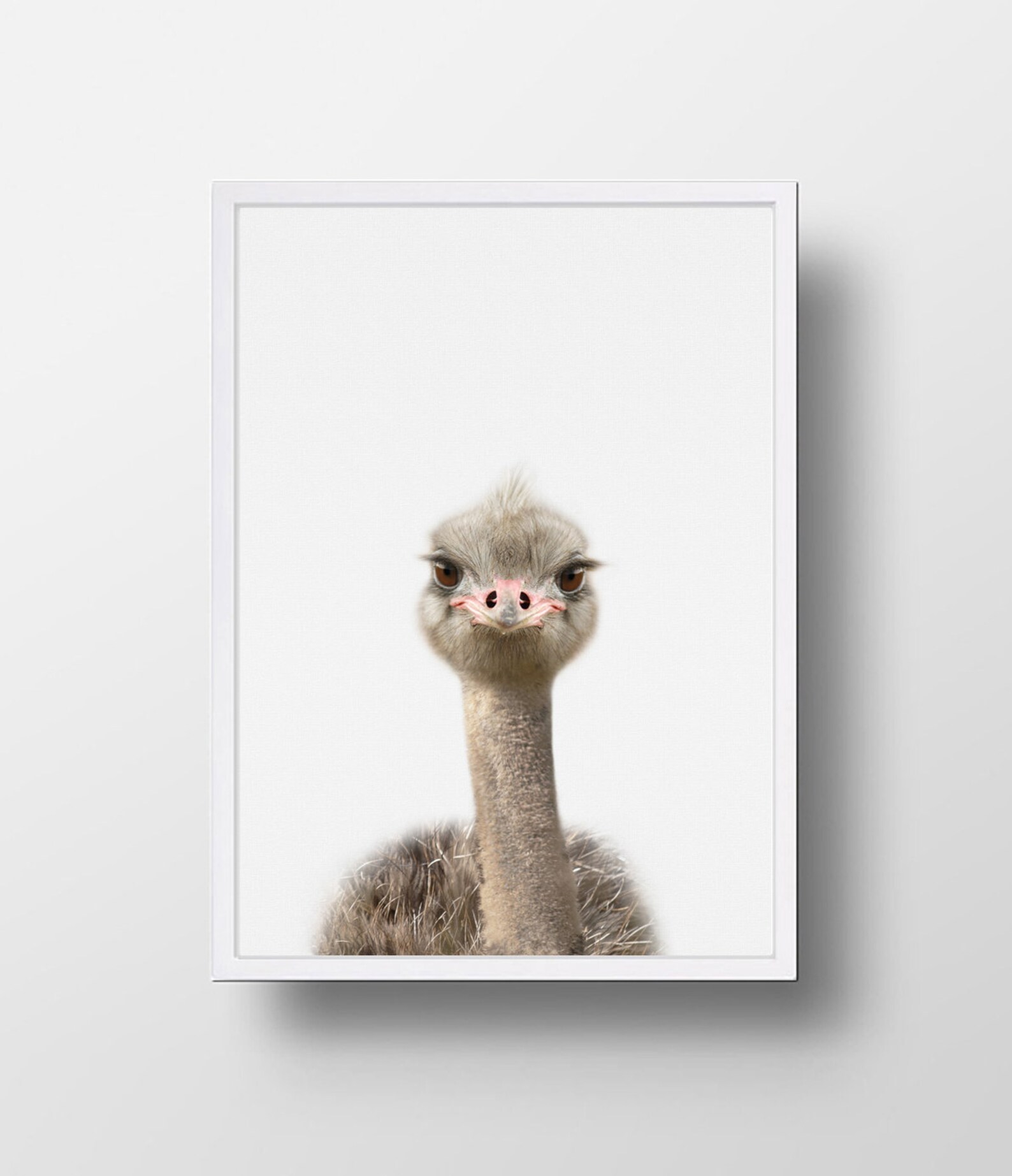 Baby Emu Print Australian Animal Baby Animal Prints Baby | Etsy