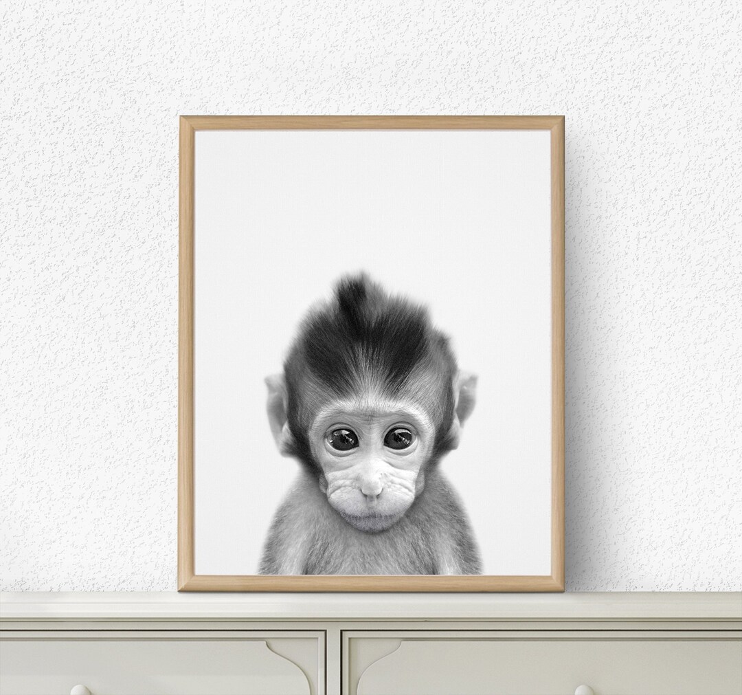 Baby Monkey Print, Baby Monkey Wall Art, Baby Animal, Nursery Animal ...