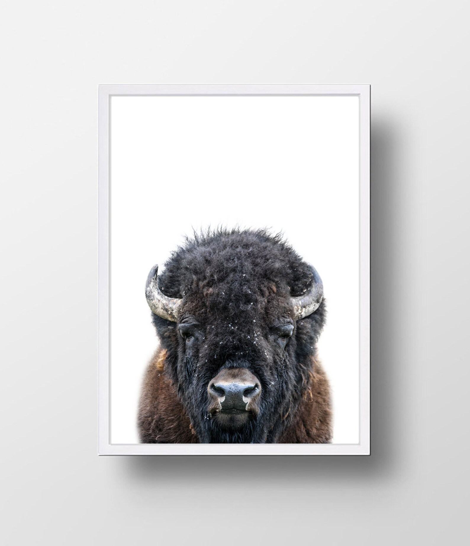 Printable Bison Bison Print Bison Wall Art Buffalo Print - Etsy