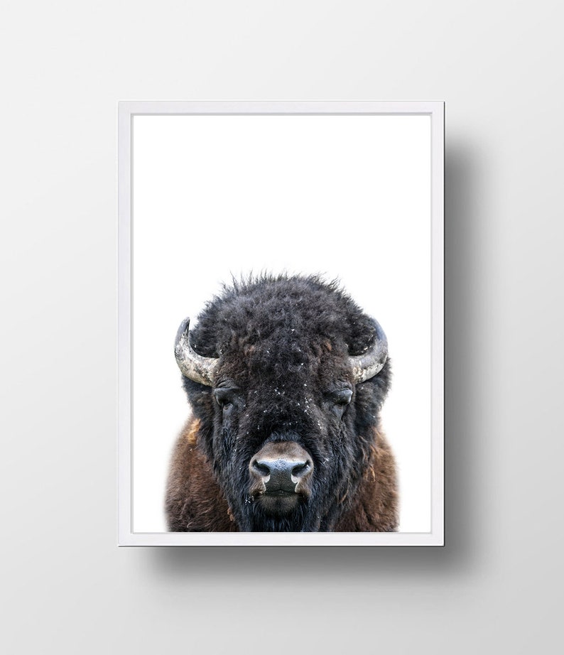 Printable Bison Bison Print Bison Wall Art Buffalo Print - Etsy