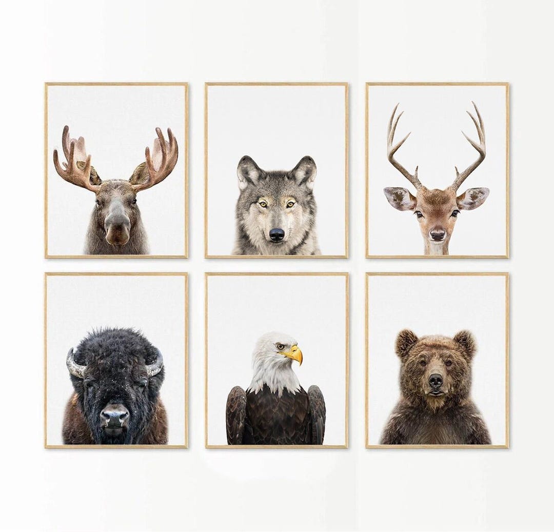 Nursery Wall Art Decor, Woodland Animals Print Set of 6, Moose Print ...