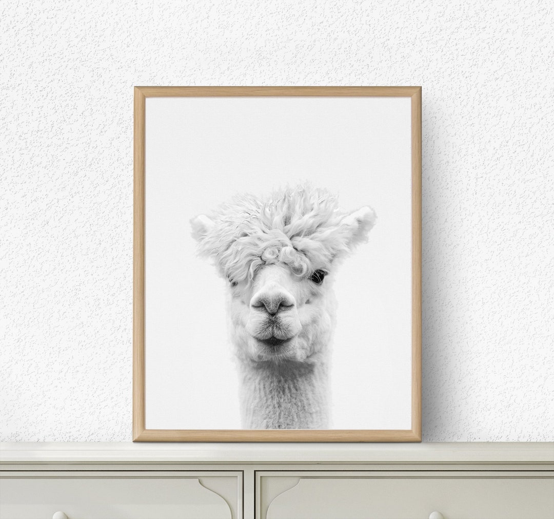 Alpaca Print, Llama Wall Art, Nursery Decor, Nursery Animal Print ...
