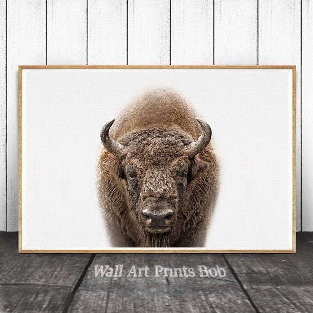 Buffalo Print, Bison Print, Printable Bison, Printable Buffalo ...