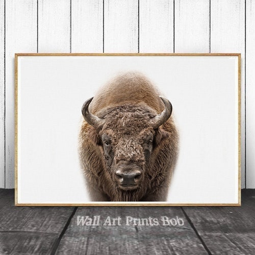 Bison Printable Bison Poster Bison Wall Art Buffalo Wall - Etsy