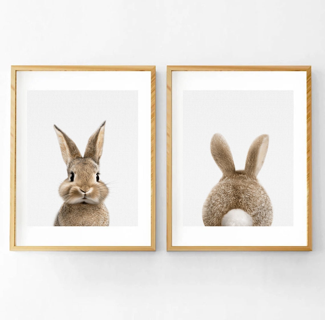 Bunny Rabbit and Rabbit Tail Print, Woodland Nursery, Baby Room Art ...