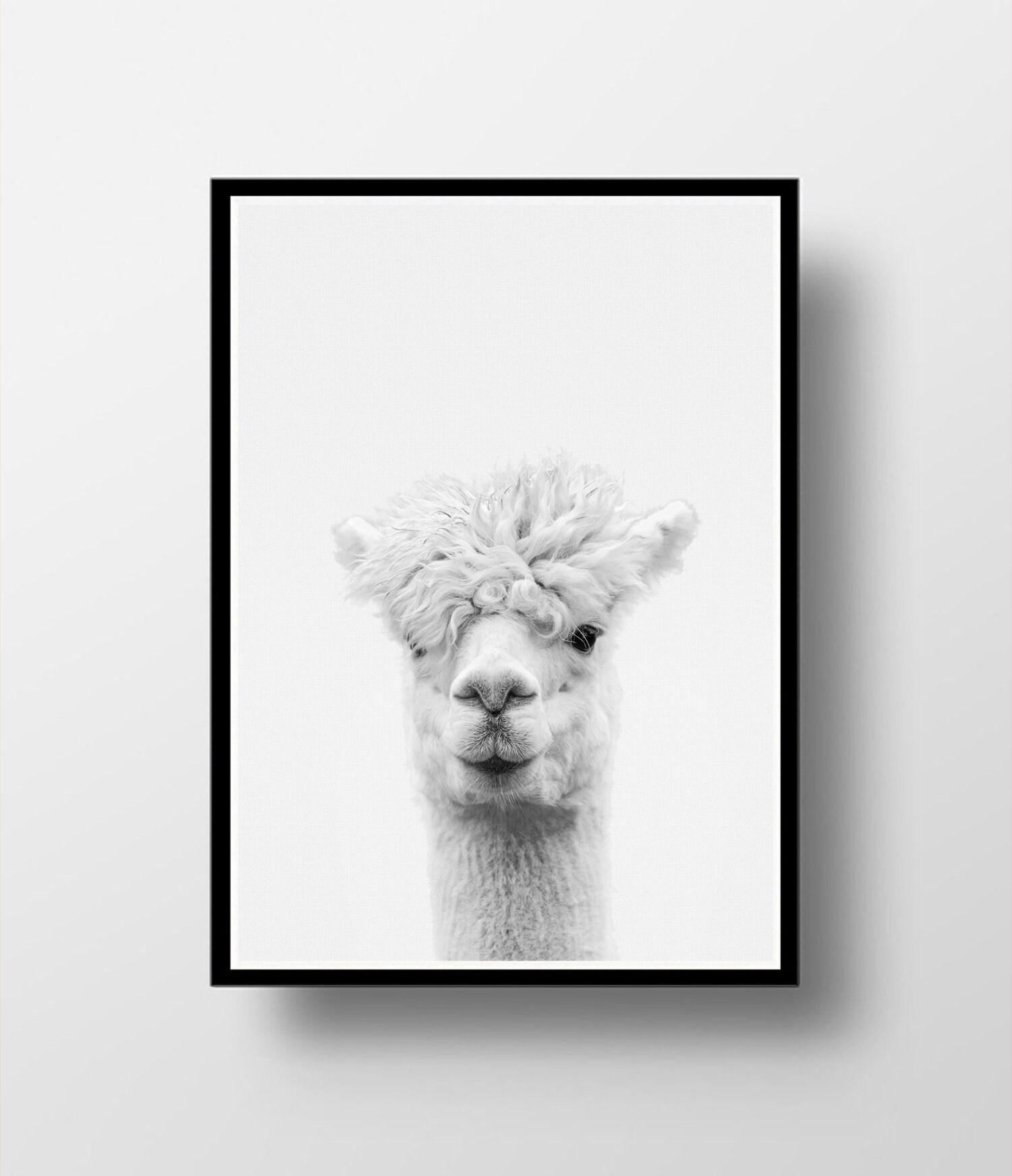 Alpaca Print Llama Wall Art Nursery Decor Nursery Animal - Etsy