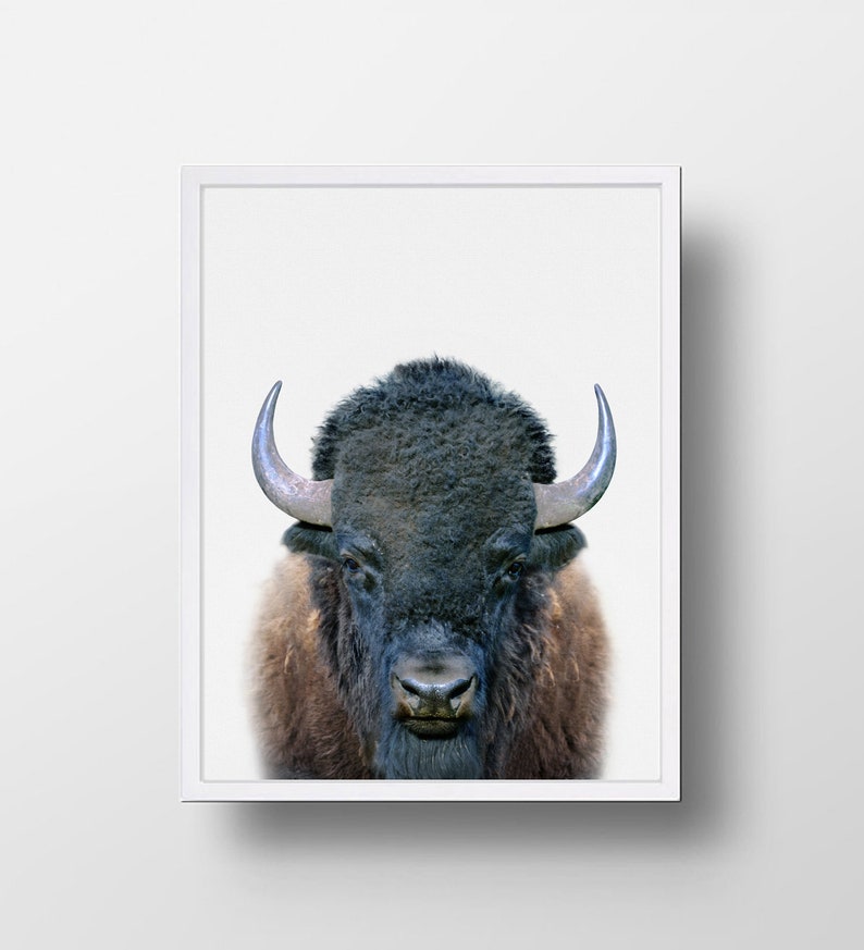Bison Print Buffalo Print Bison Wall Art Nursery Decor - Etsy