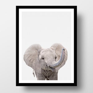 Baby Elephant Print Wall Art, Baby Elephant Animal Print, Safari Animal ...