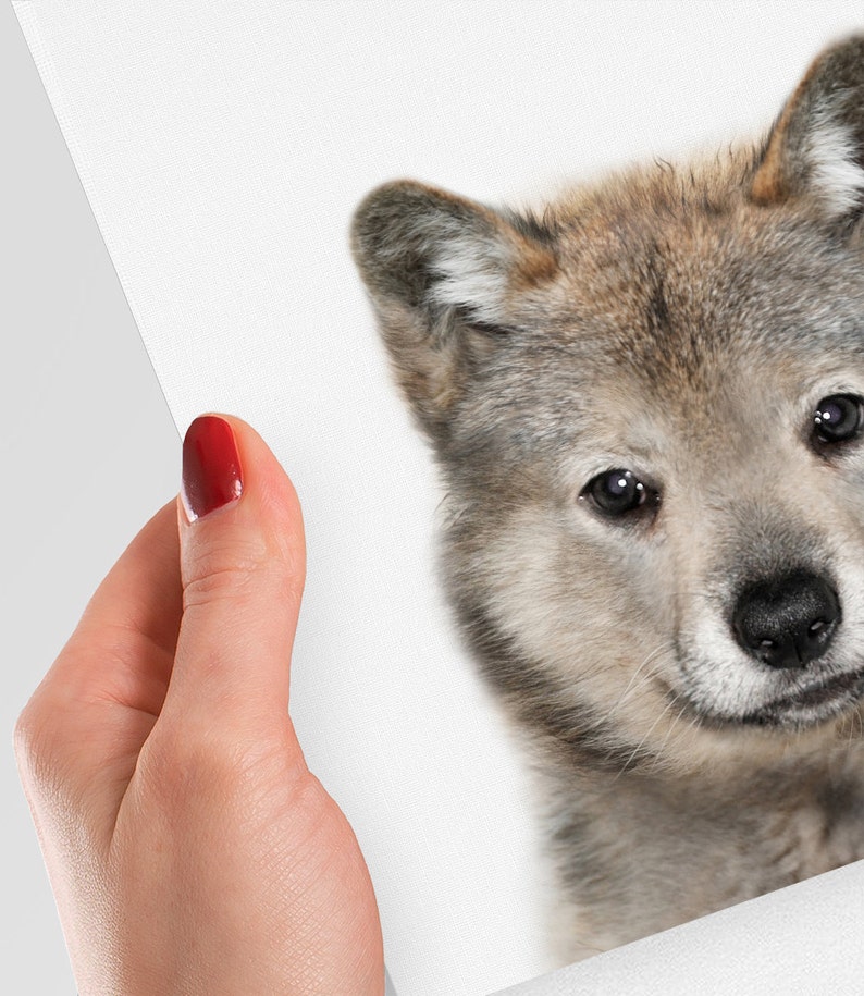 Wolf Cub Print Wolf Cub Wall Art Animal Print Nursery - Etsy