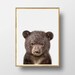 Bear Cub Print, Woodland Animals, Baby Bear Art Print, Baby Animal ...