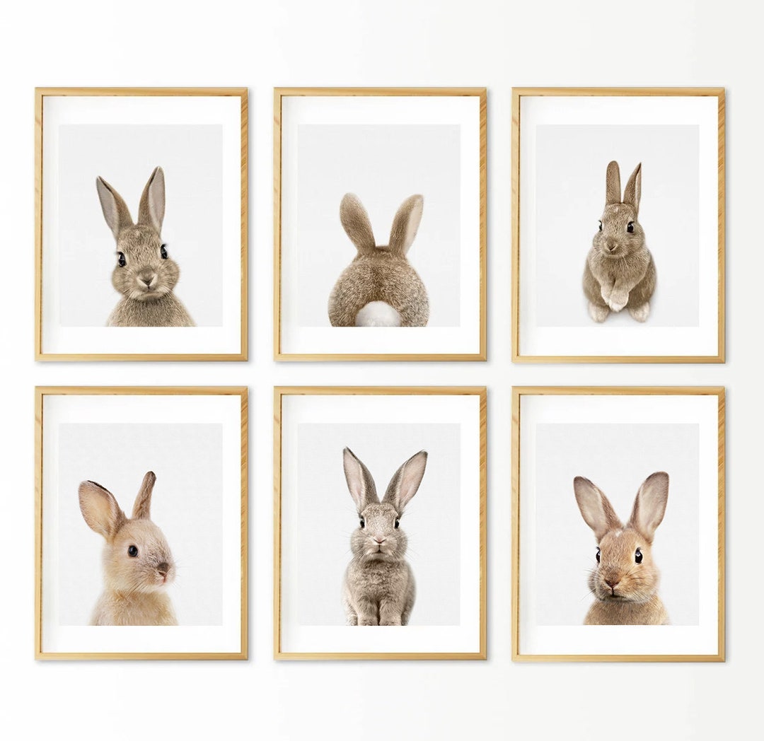 Bunny Rabbit Print, Nursery Decor, Rabbit Tail, Baby Room Wall Art ...