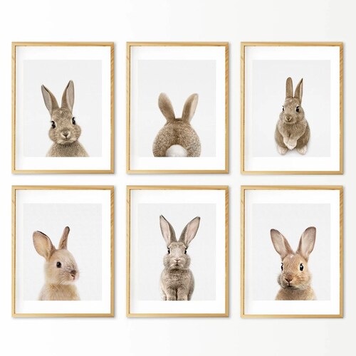 PRINTED Posters Set of 2 Bunny Prints Rabbit Wall Art - Etsy