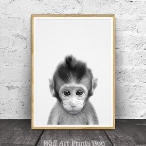 Baby Monkey Print, Baby Monkey Wall Art, Baby Animal, Nursery Animal ...