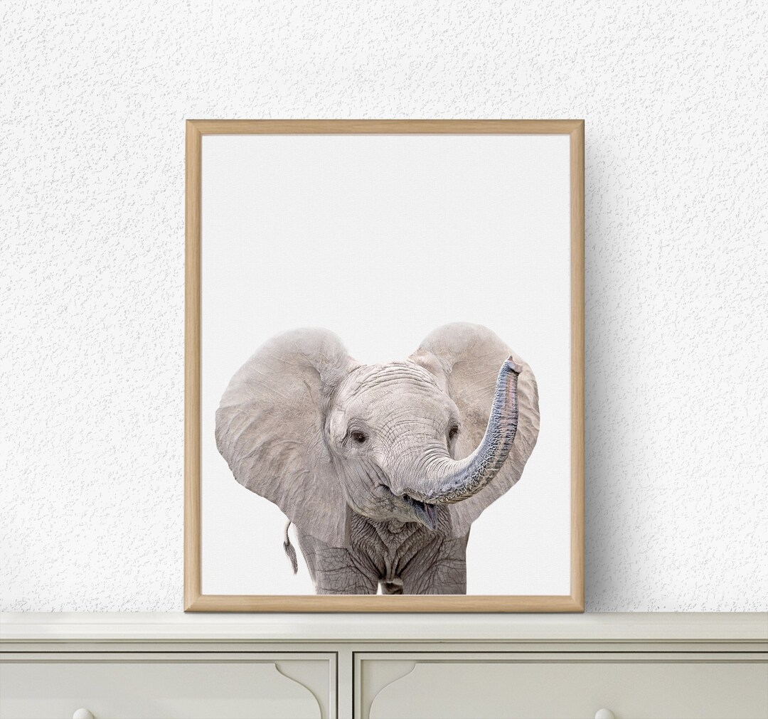 Baby Elephant Print Wall Art, Baby Elephant Animal Print, Safari Animal ...