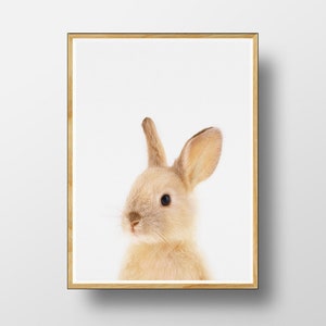 Nursery Decor Rabbit Print, Nursery Animals, Baby Room Wall Art, Rabbit ...