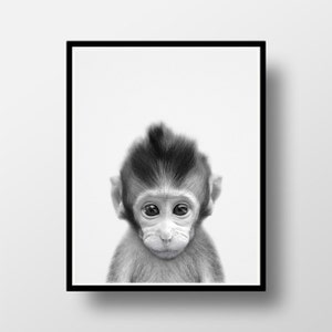 Baby Monkey Print, Baby Monkey Wall Art, Baby Animal, Nursery Animal ...