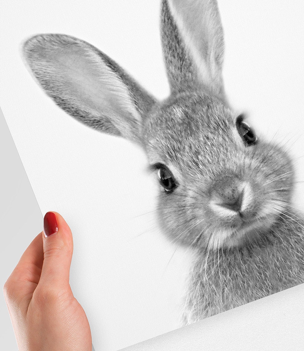 Woodland Nursery Decor Rabbit Poster Nursery Animal Print | Etsy