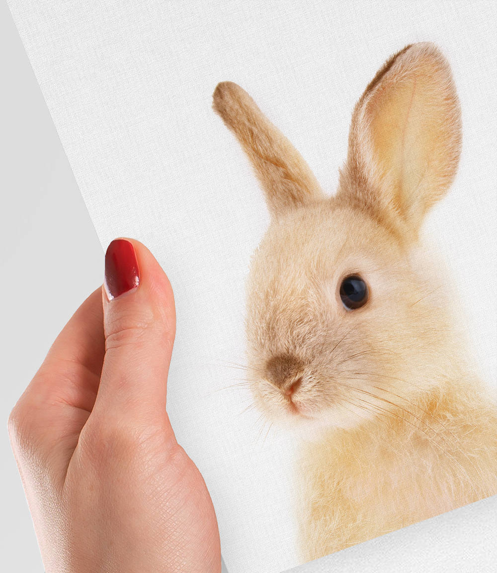 Nursery Decor Rabbit Print Nursery Animals Baby Room Wall | Etsy