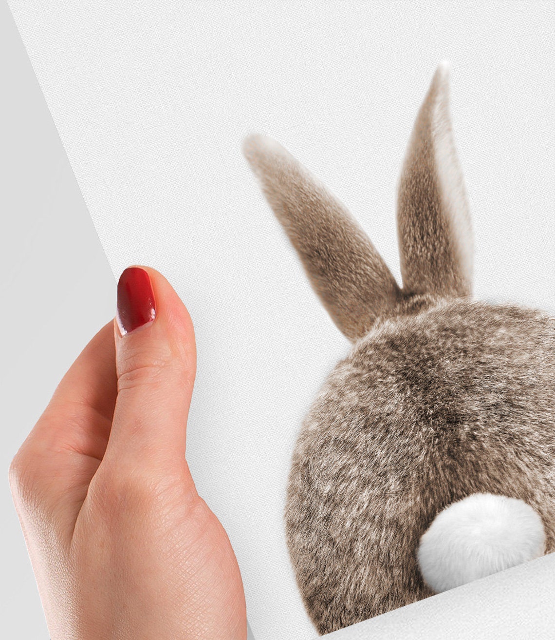 Nursery Decor Rabbit Tail Print rabbit Bunny Wall Art Poster - Etsy