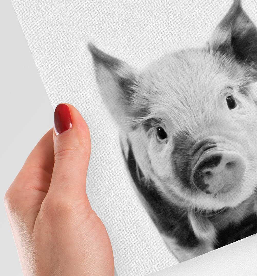 Pig Print Nursery Decor Nursery Animals Pig Wall Art - Etsy
