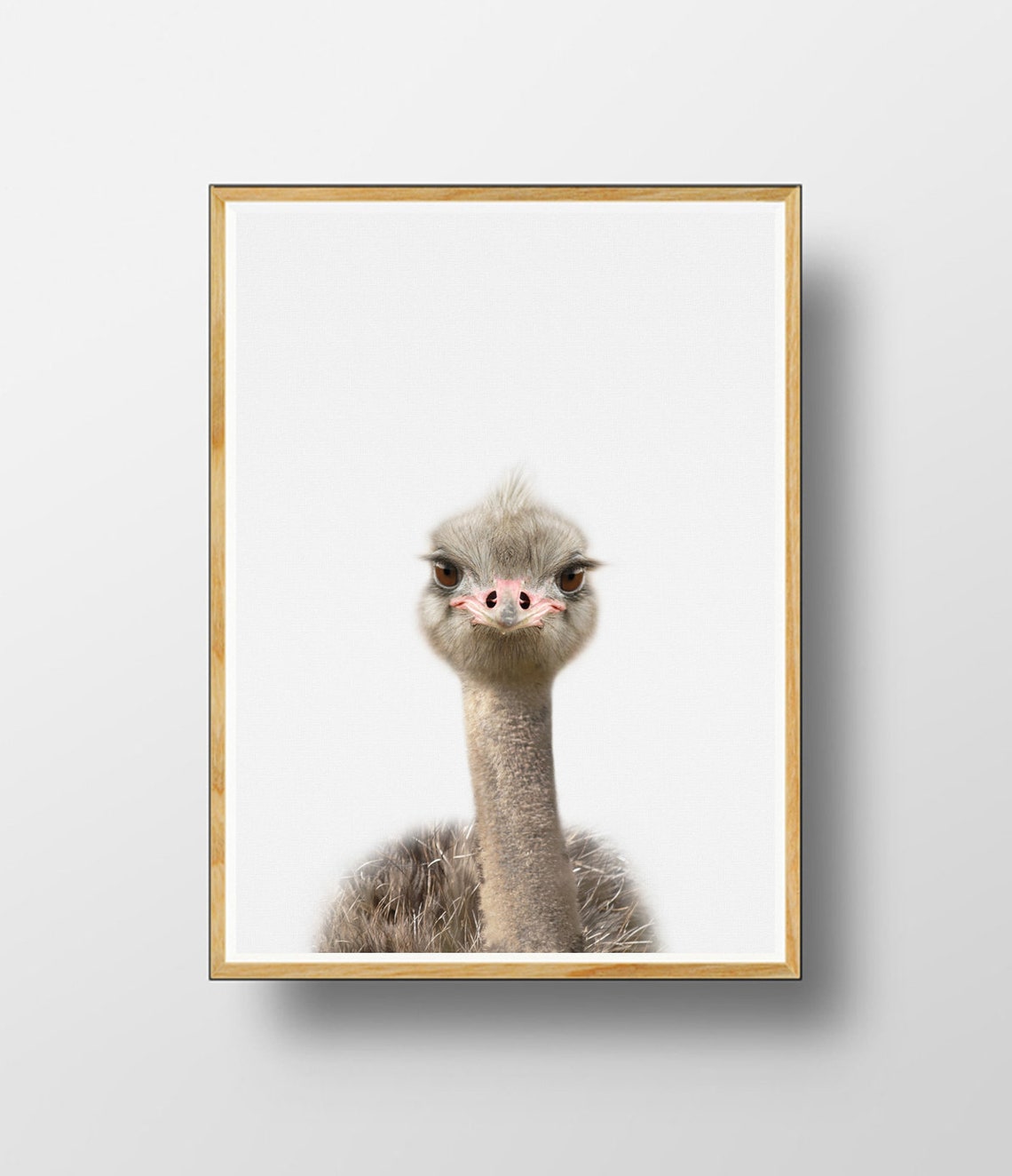 Baby Emu Print Australian Animal Baby Animal Prints Baby | Etsy