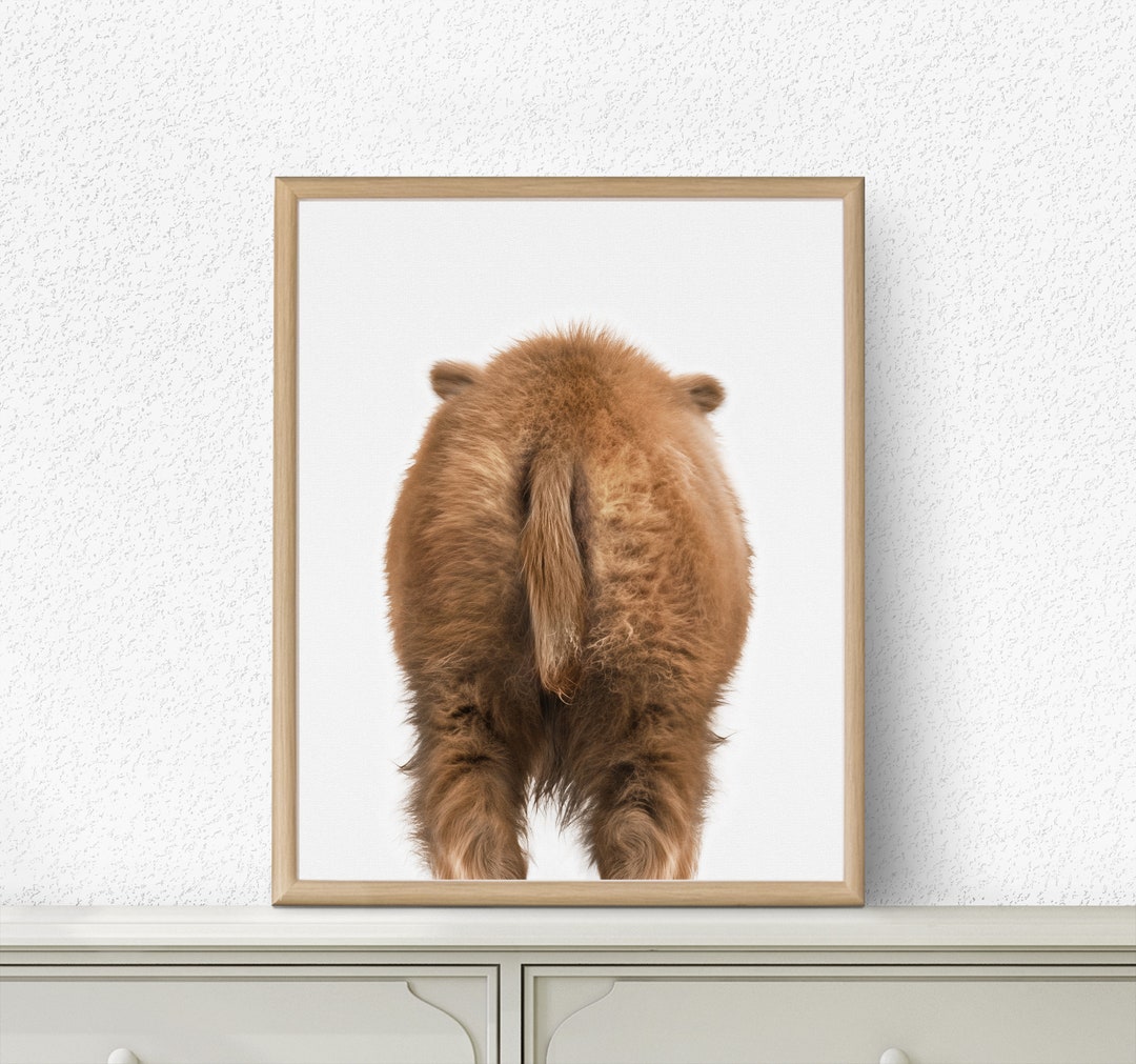 Bison Calf Tail Print, Nursery Animals, Nursery Decor, Baby Animal ...