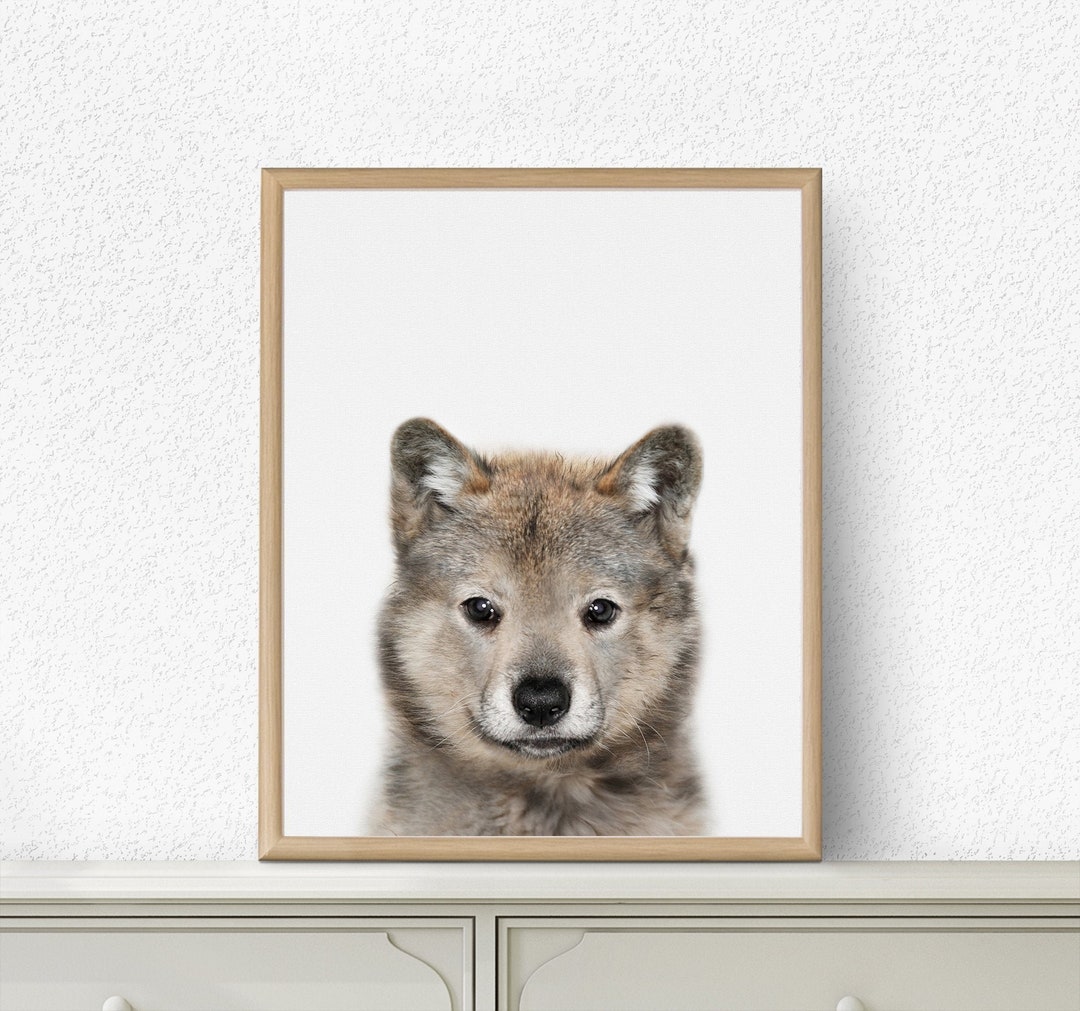 Wolf Cub Print, Wolf Cub Wall Art, Animal Print, Nursery Decor, Nursery ...