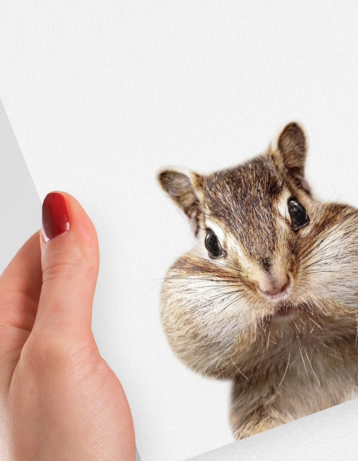 Chipmunk Print Nursery Animals Nursery Animal Print Nursery - Etsy