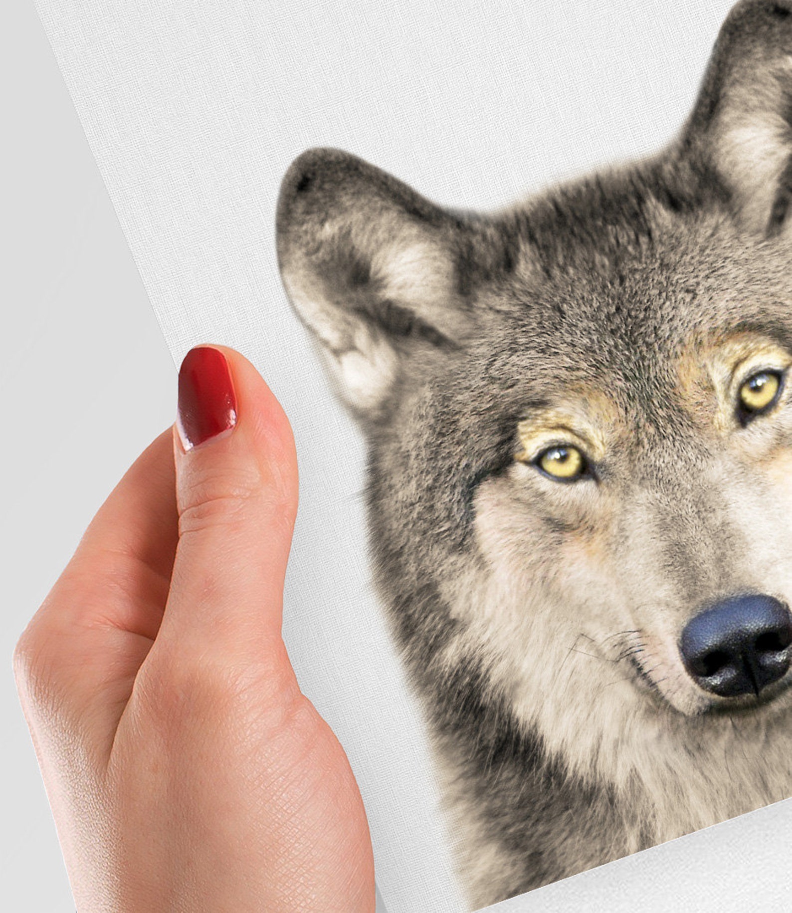 Wolf Print Nursery Animals Nursery Wall Art Nursery Print - Etsy