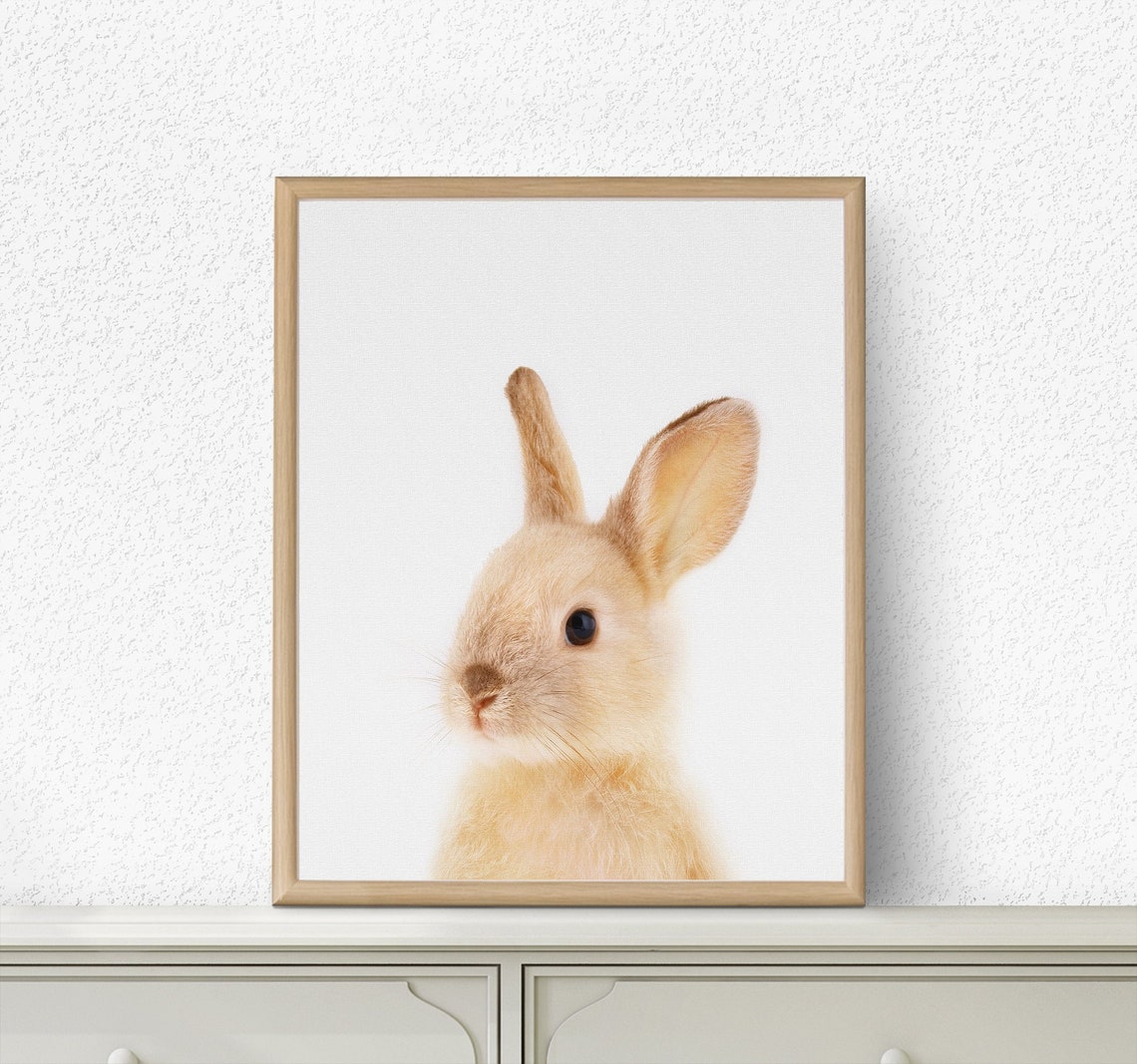 Nursery Decor Rabbit Print Nursery Animals Baby Room Wall | Etsy