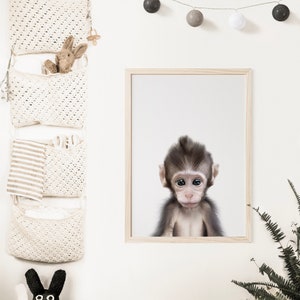 Baby Monkey Print, Baby Monkey Wall Art, Baby Animal Prints, Baby ...
