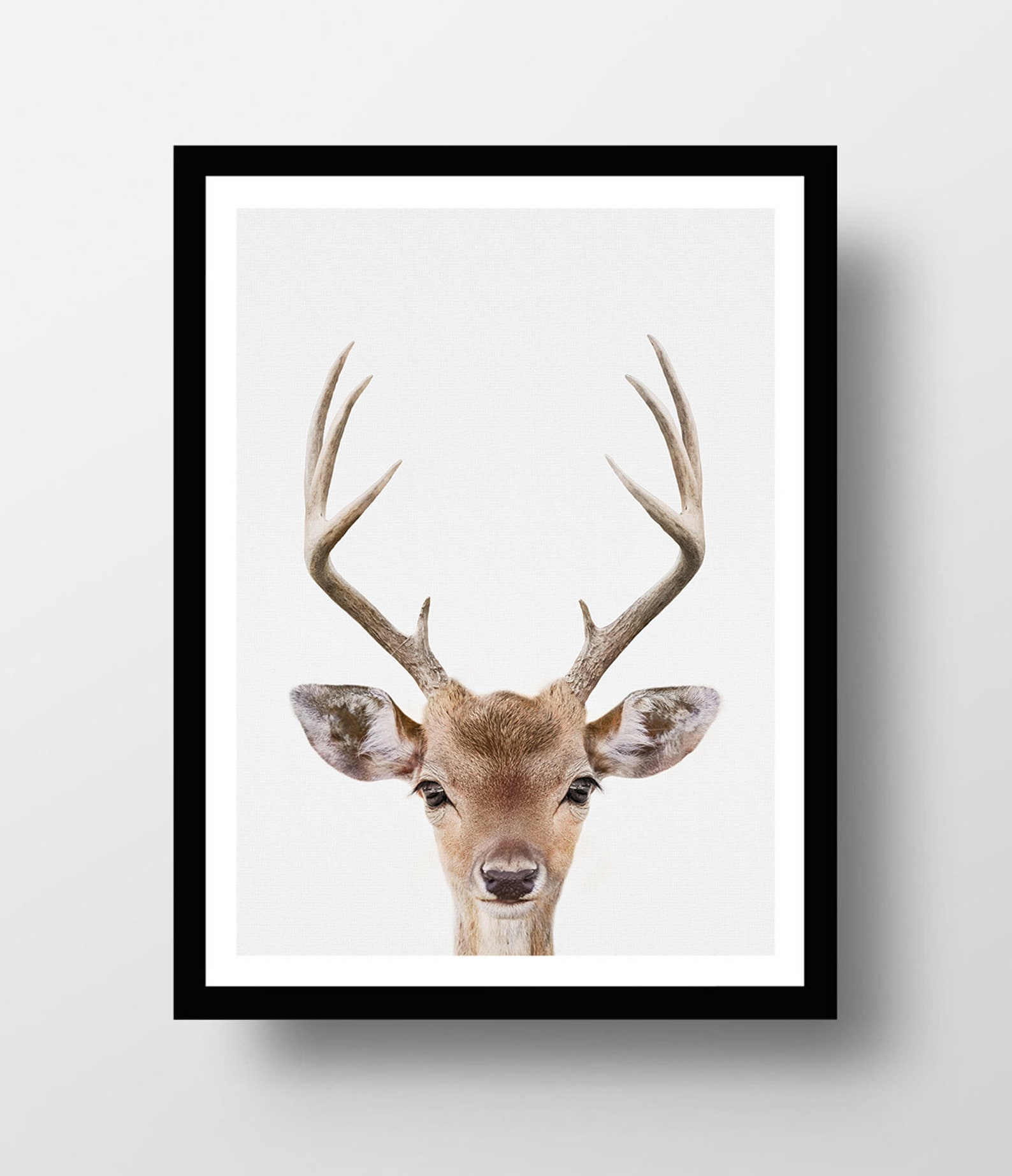 Deer Print Deer Head and Antlers Woodland Animals Woodlands | Etsy