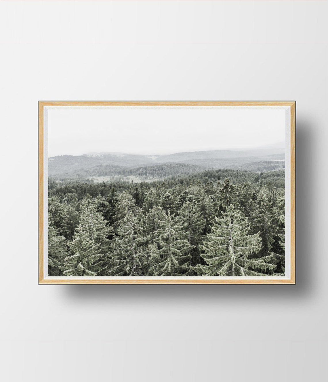 Forest Print Forest Printable Landscape Fog Wall Art - Etsy