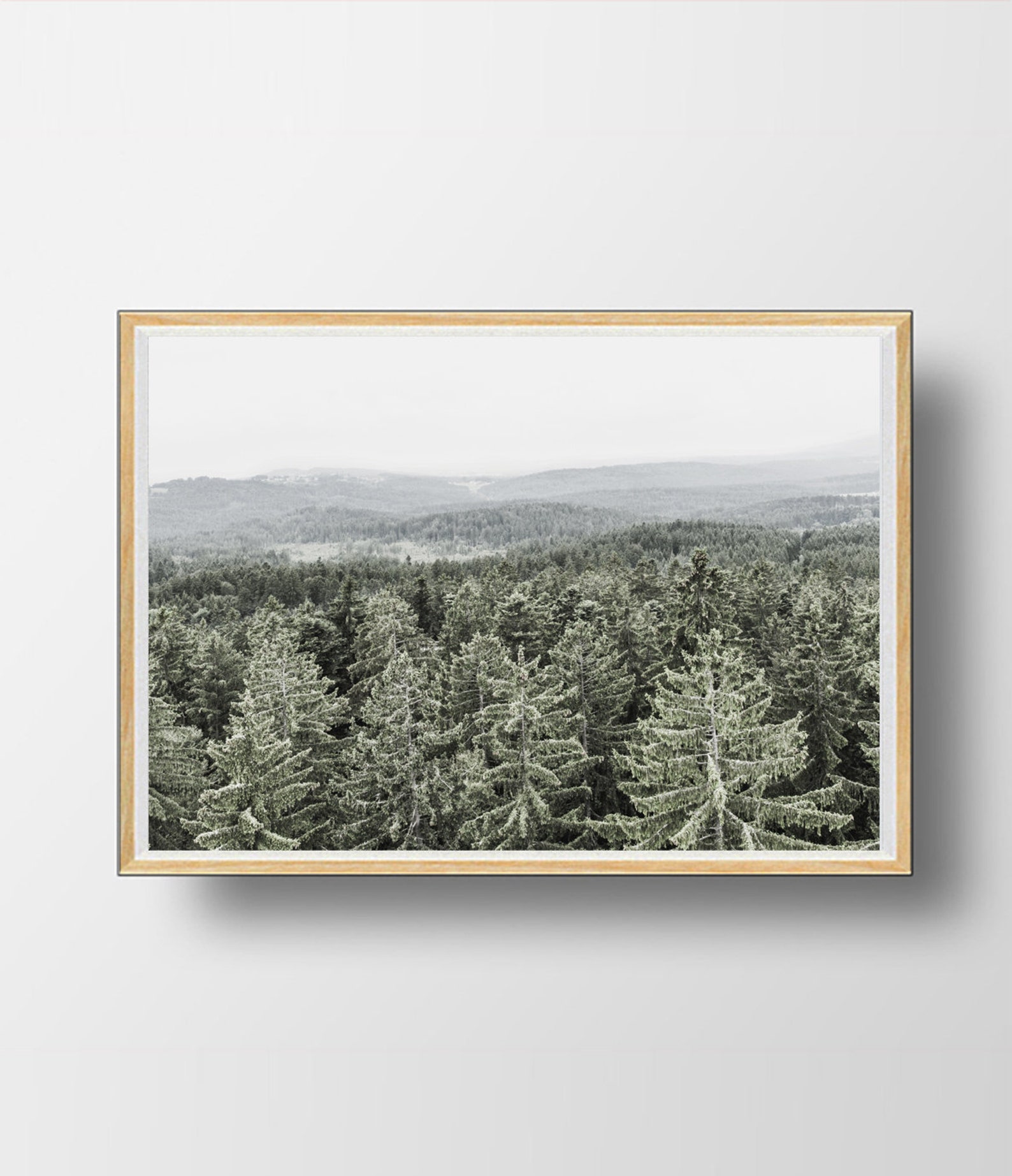 Forest Print Forest Printable Landscape Fog Wall Art - Etsy