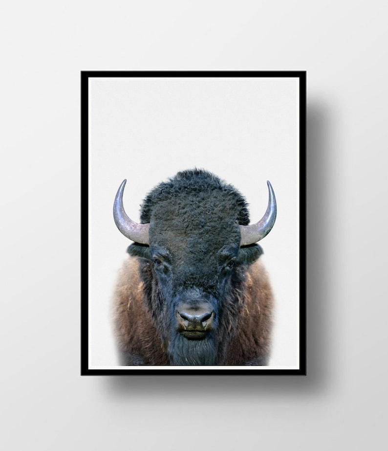 Bison Print Buffalo Print Bison Wall Art Nursery Decor - Etsy